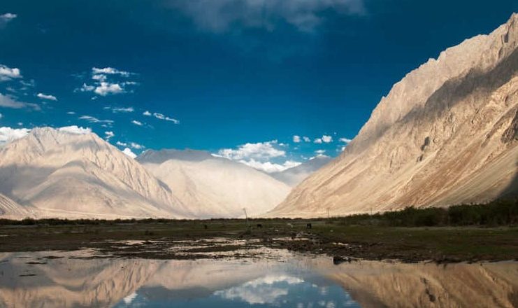 Leh to Nubra Valley| Altitude Adventure India