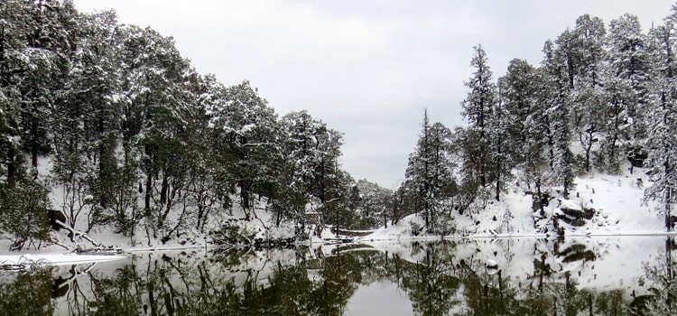 Brahmatal Trek - Uttarakhand| Altitude Adventure India